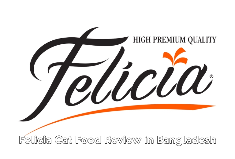 Felicia Cat Food Review in Bangladesh - AmarPet