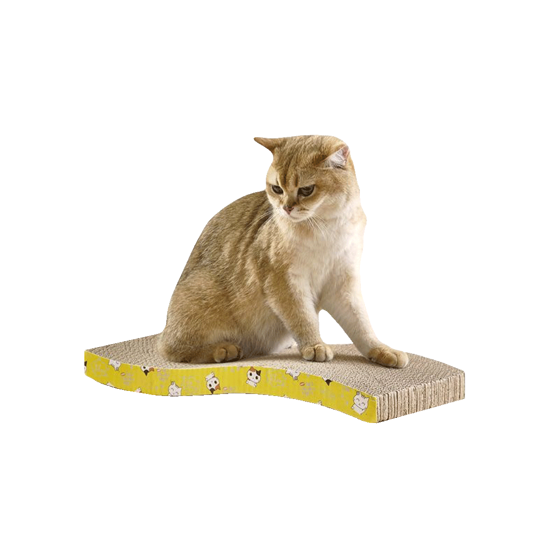 Curved Cat Scratcher Board