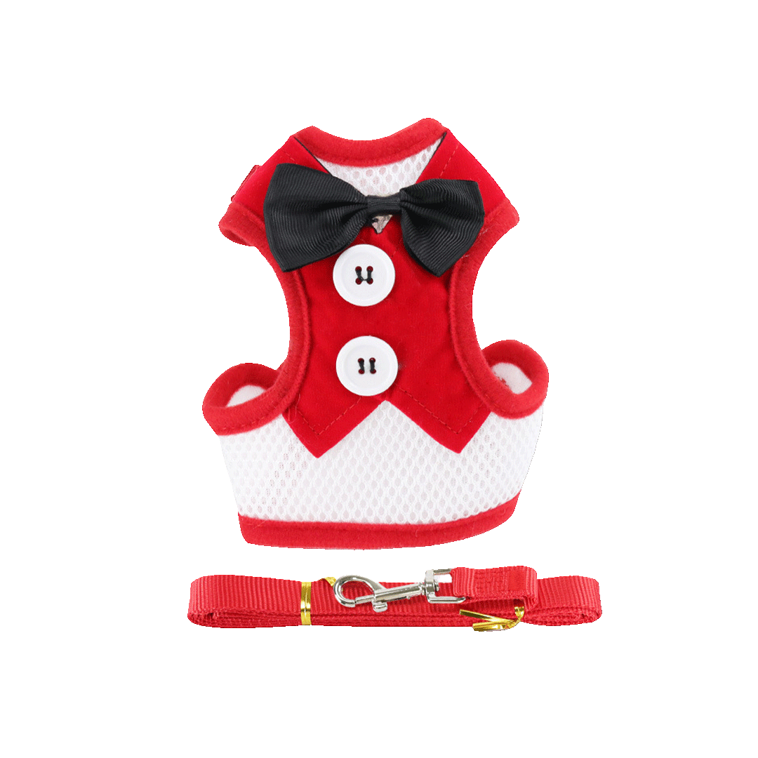 Stylish Bow Tie Harness