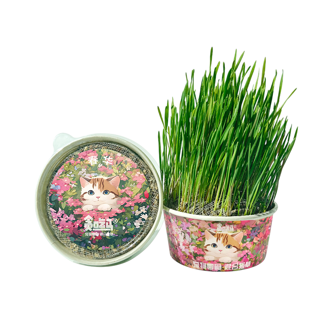 Soilless Mixed Greedy Horse Spring Pet Cat Grass Kit